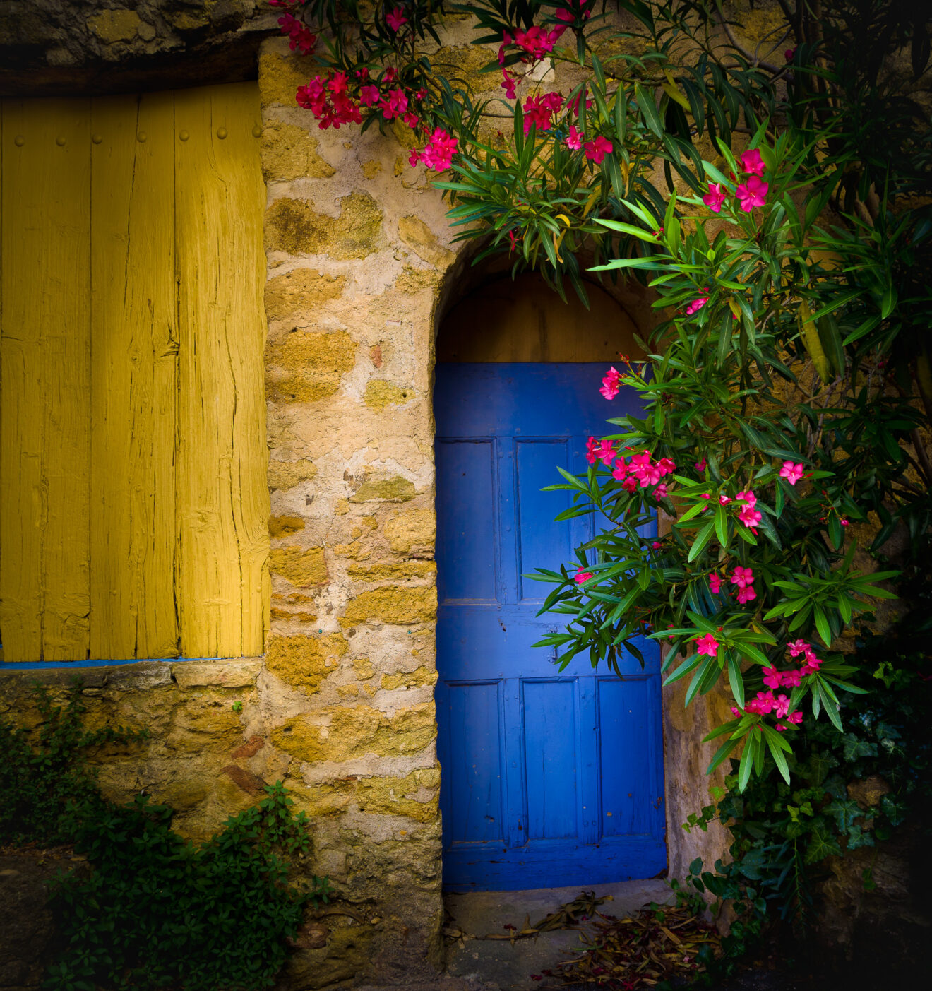 Simplify ... Photography with Intention