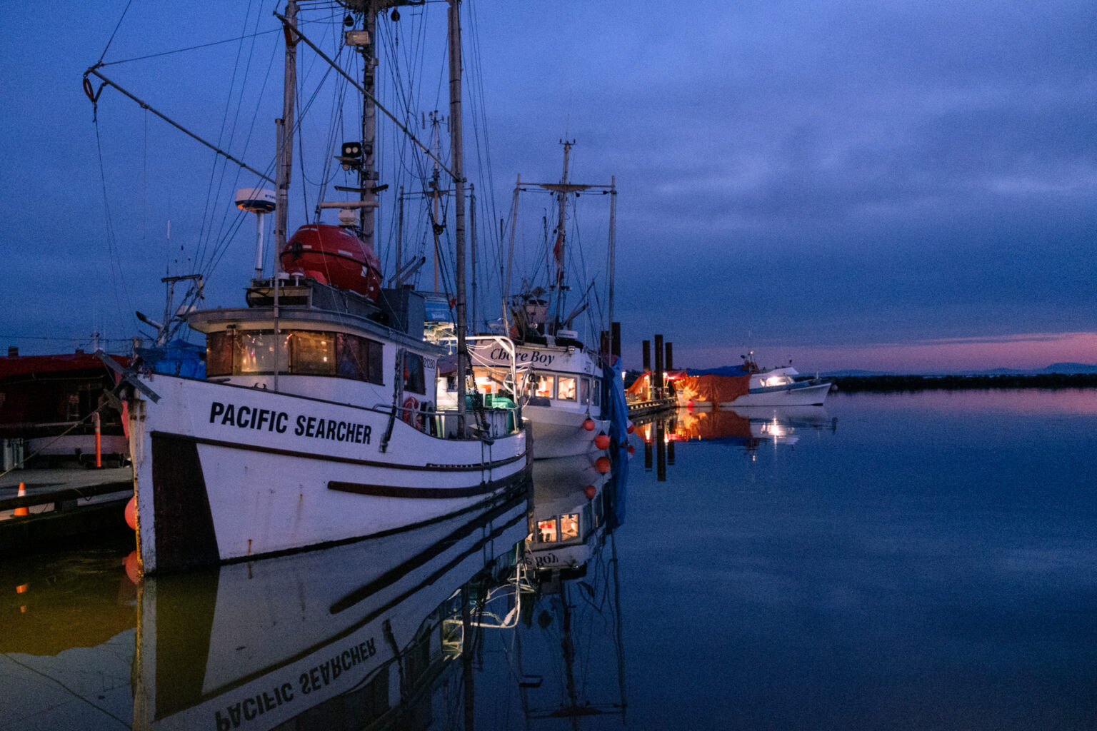 High ISO Noise Reduction - #categories - pacificLIGHT photography